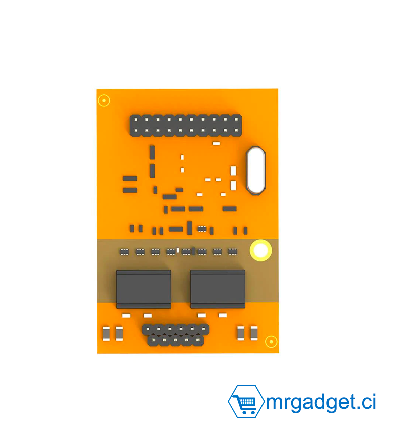 Yeastar B2 Module (2 BRI) - Module 2 ports BRI fournissant 2 lignes RNIS